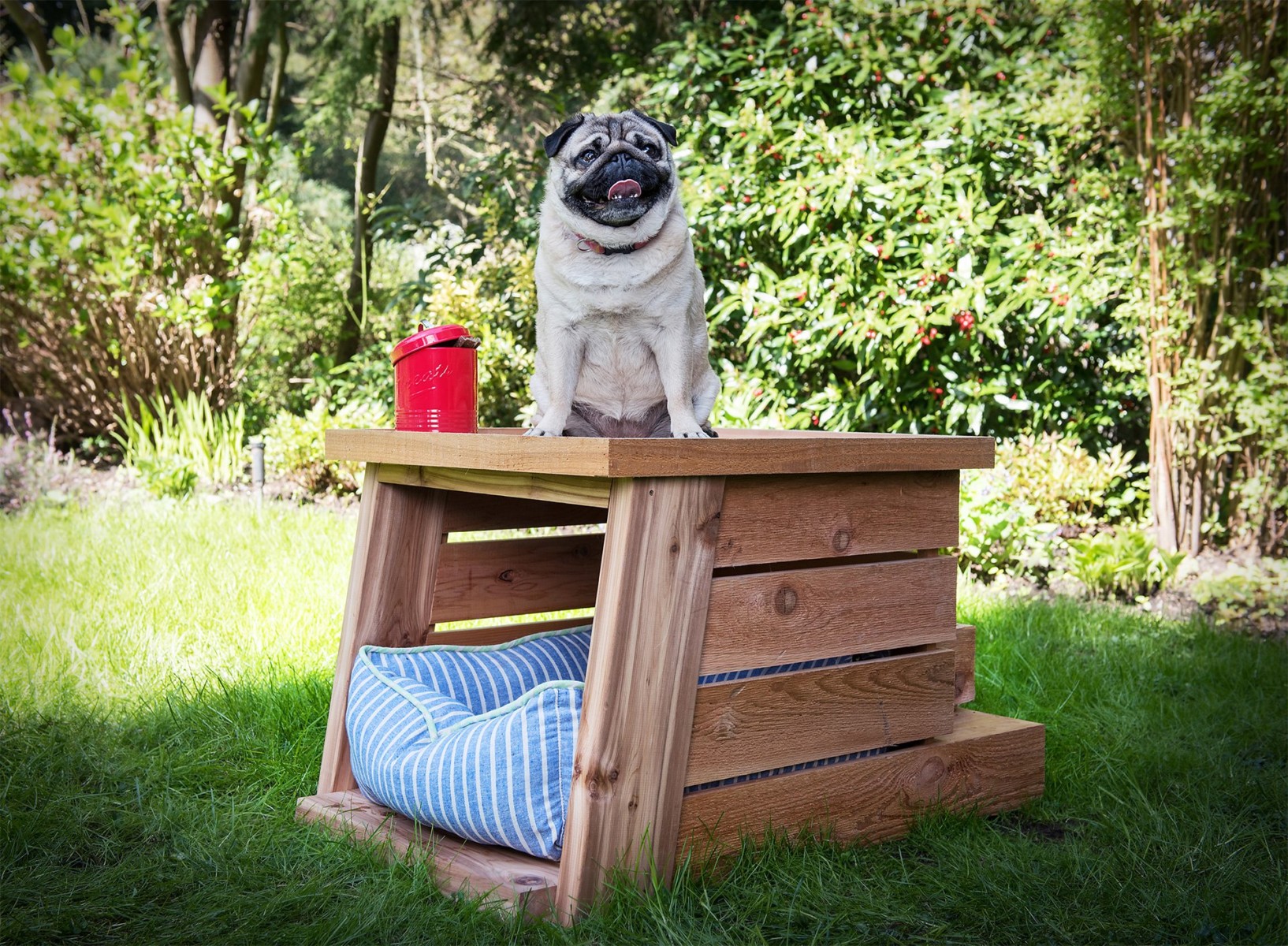 How to build a modern doghouse - Real Cedar | Real Cedar