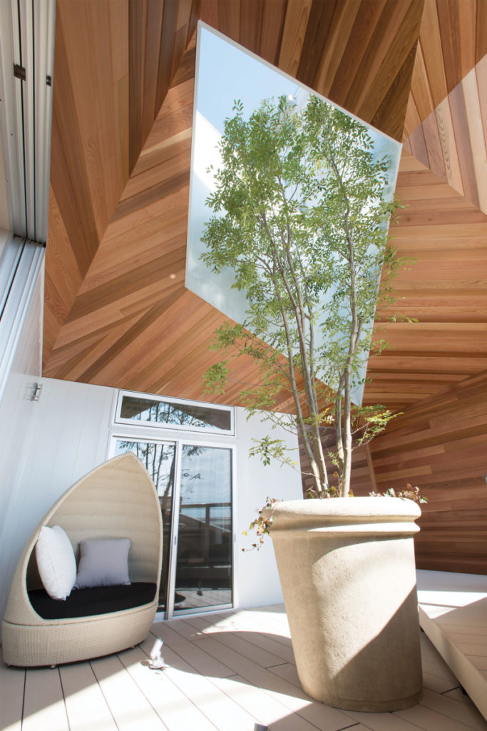 Innovative Japanese Architecture - Real Cedar